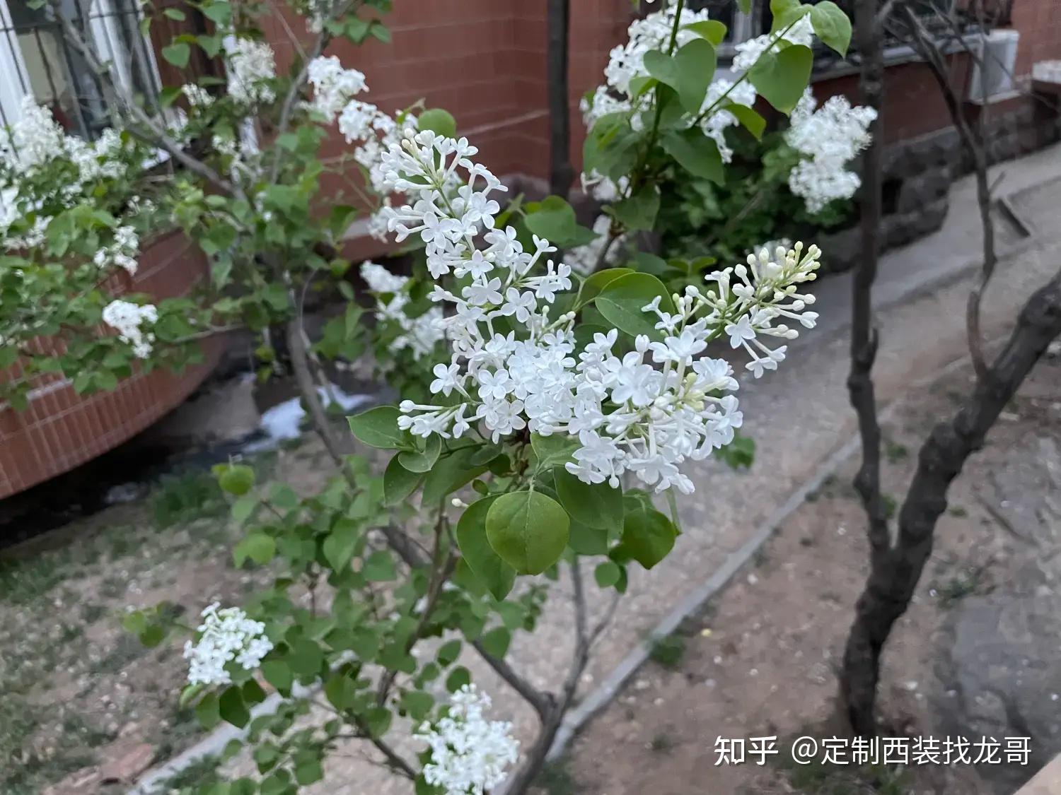 每日冥想之：0258 - 知乎