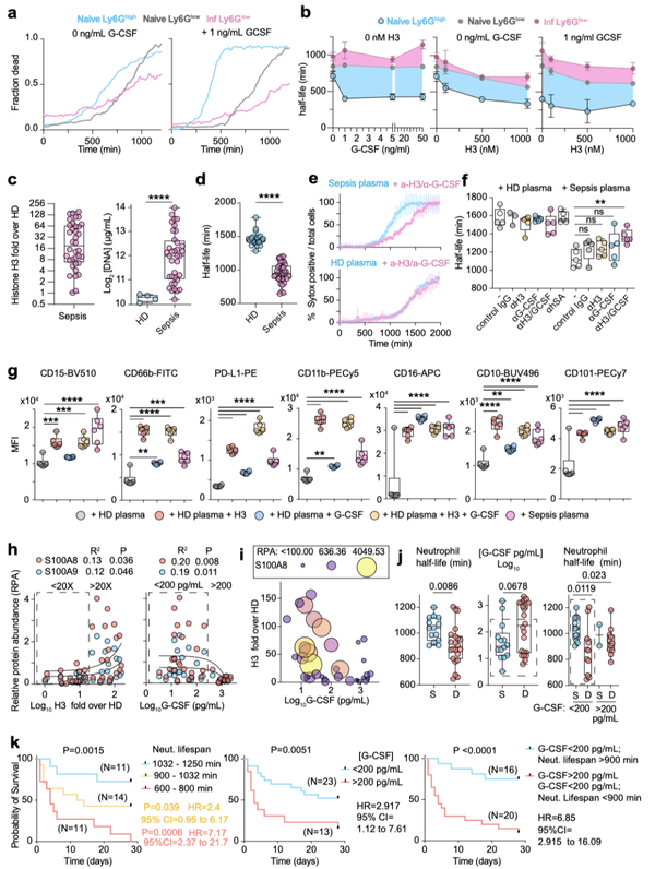 Nature子刊丨脾脏巨噬细胞捕获微生物通过 T 细胞死亡依赖性中性粒细胞寿命缩短引发脓毒症 - 知乎