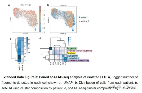 10X单细胞空间（RNA、ATAC、Spatial）联合分析剖析类风湿关节炎中炎症相关滑膜成纤维细胞的异质性及其驱动因素 - 知乎