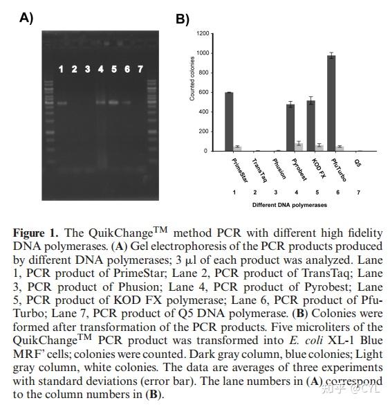 【文献翻译】对QuikChangeTM过程的新认识指导了Phusion DNA聚合酶在定点诱变中的应用 - 知乎