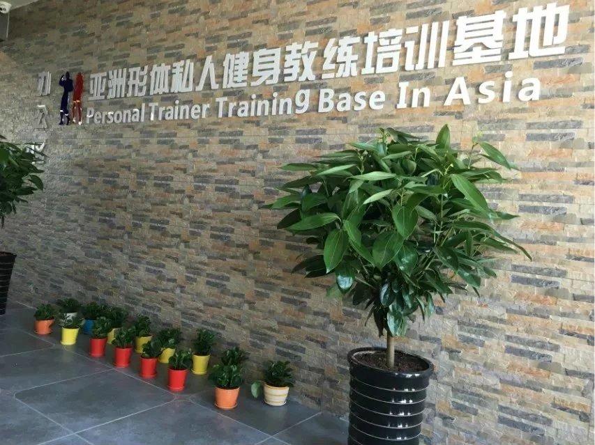 学习健身教练就进来看看 知乎