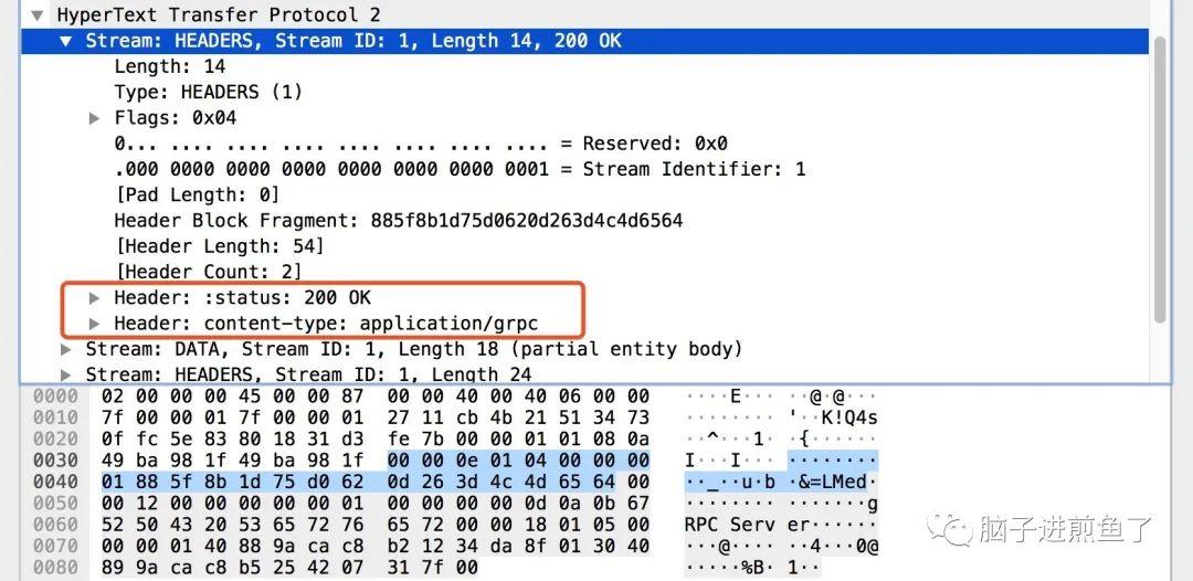 漫谈grpc 3：从实践到原理，带你参透 gRPC - 知乎