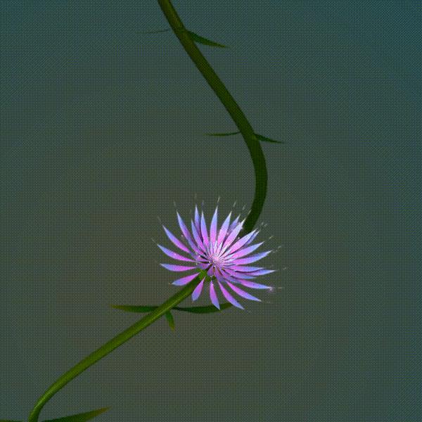 程序化建模：使用TouchDesigner实时生成一朵花 - 知乎