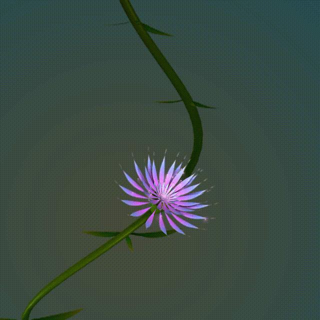 程序化建模：使用TouchDesigner实时生成一朵花 - 知乎