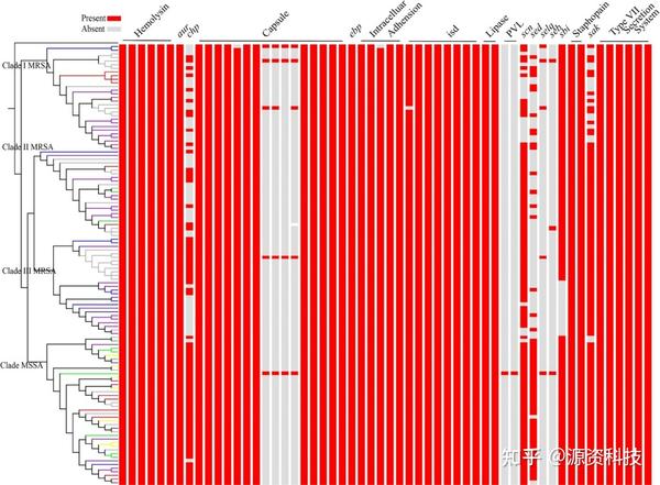 病原微生物NGS生信分析案例解读 - 知乎