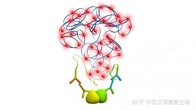 PLA（邻近连接）技术简介 - 知乎