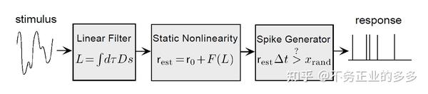 Theoretical Neuroscience学习笔记——Chapter 2: Reverse Correlation and Visual Receptive Fields - 知乎