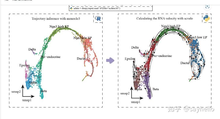 scDIOR 快速scanpy 转换 seurat - 知乎