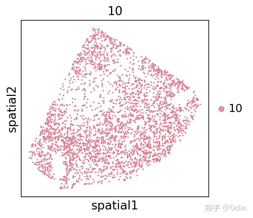 教程：用scanpy和squidpy分析单细胞空间转录组数据 - 知乎