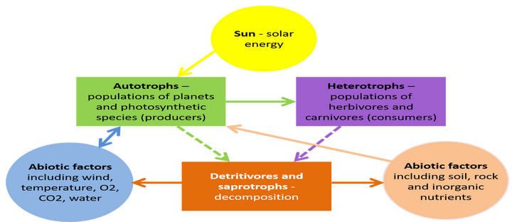 Topic 4.1 Species, communities and ecosystem（生态基础） - 知乎