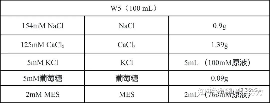 实验技巧 | 一文了解双分子荧光互补(BiFC)实验，值得收藏！ - 知乎