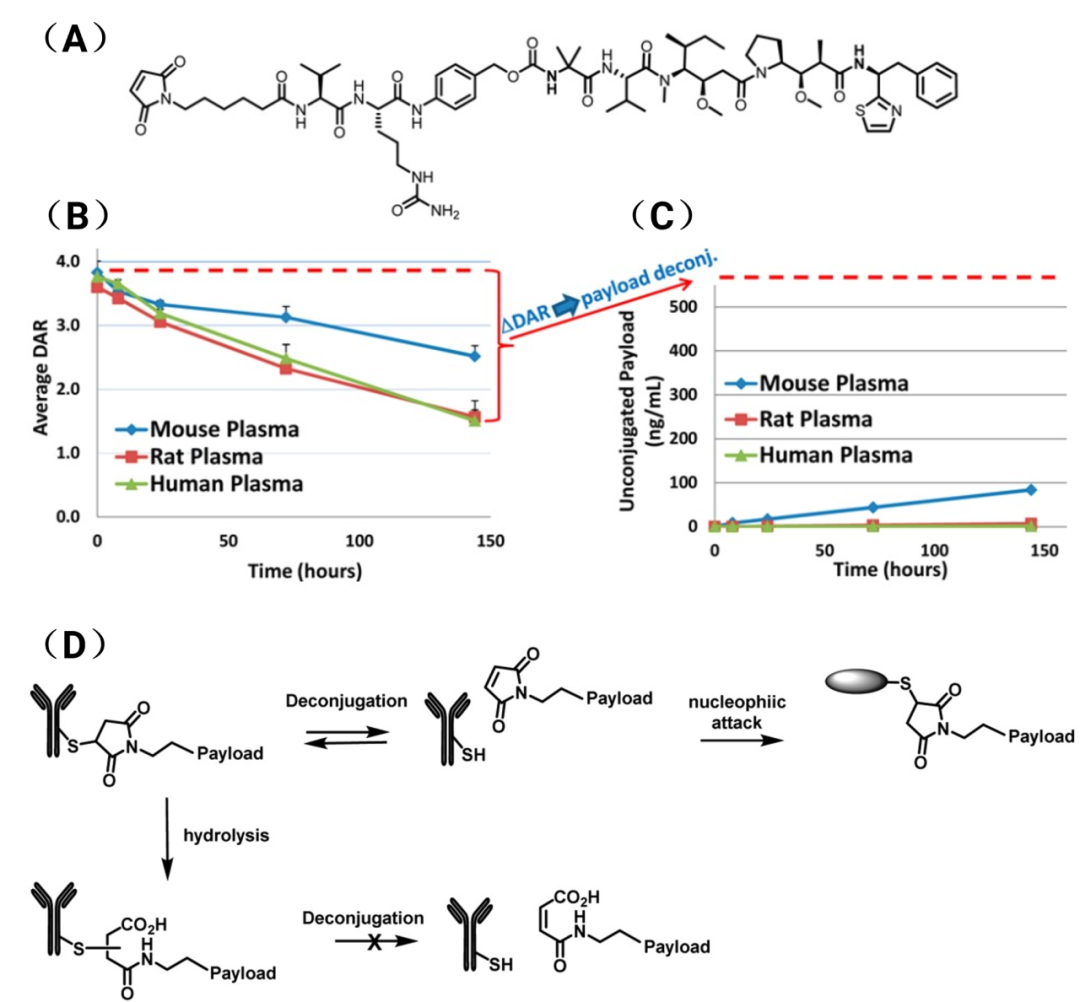 抗体偶联药物（ADC）在体外血液基质中的稳定性研究 - 知乎
