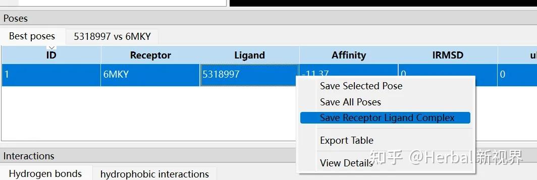 Dockey——简单、高效、无脑的分子对接流程！ - 知乎