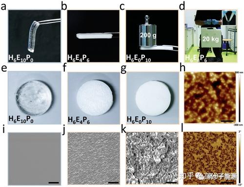 AFM:坚韧的PEGgels原位相分离用于4D打印 - 知乎