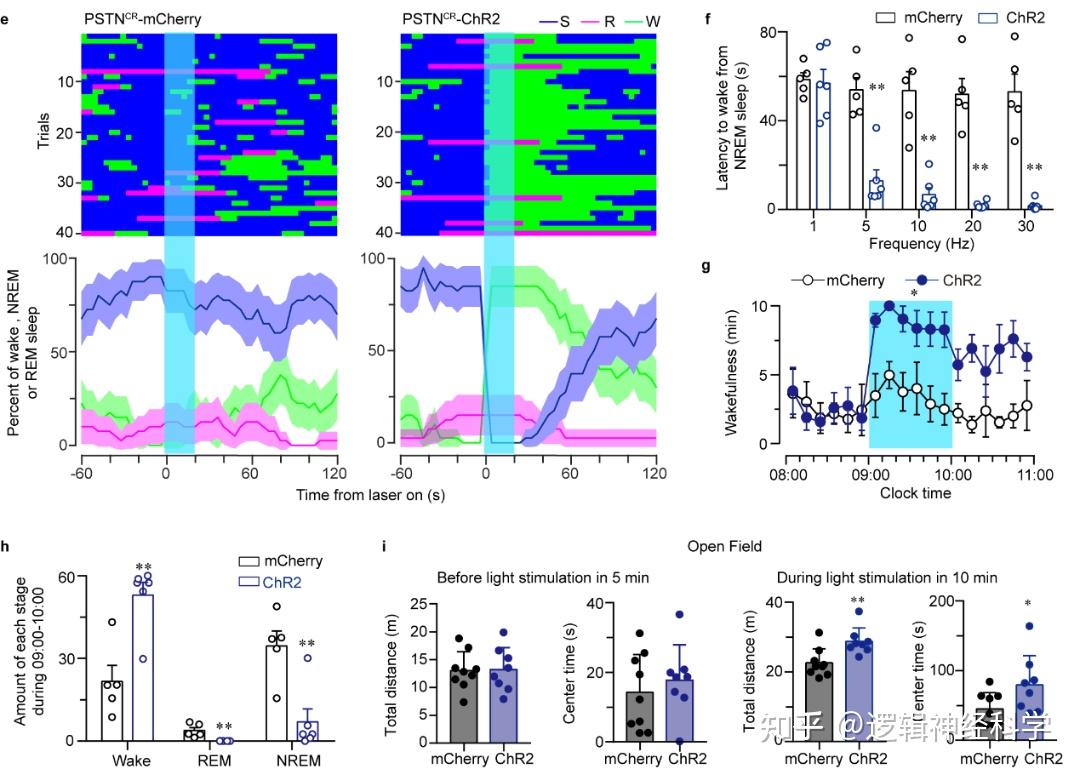Nat Commun︱复旦大学黄志力课题组揭示丘脑下旁核调节觉醒的作用和机制 - 知乎