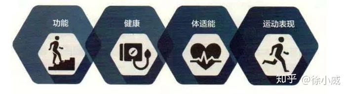 NASM OPT模型和 ACE IFT模式 - 知乎