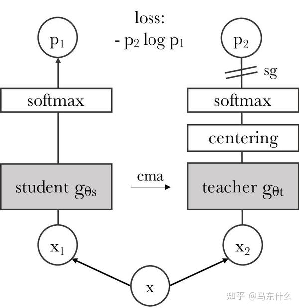 Emerging Properties in Self-Supervised Vision Transformers - 知乎