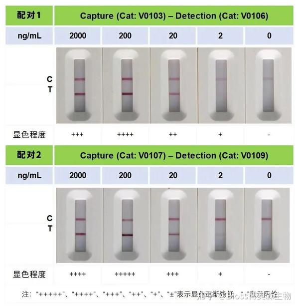 重点推荐丨高灵敏度炎症相关CRP配对抗体！ - 知乎