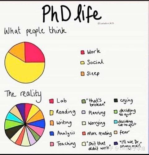 如何判断自己适不适合读博？七大标准！来自一位博士学姐的透彻分析 - 知乎