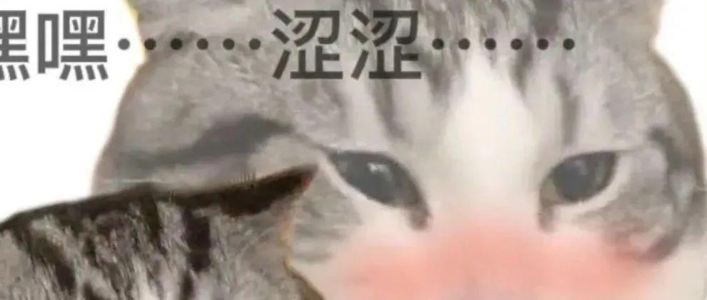 涩涩表情包😍 - 知乎