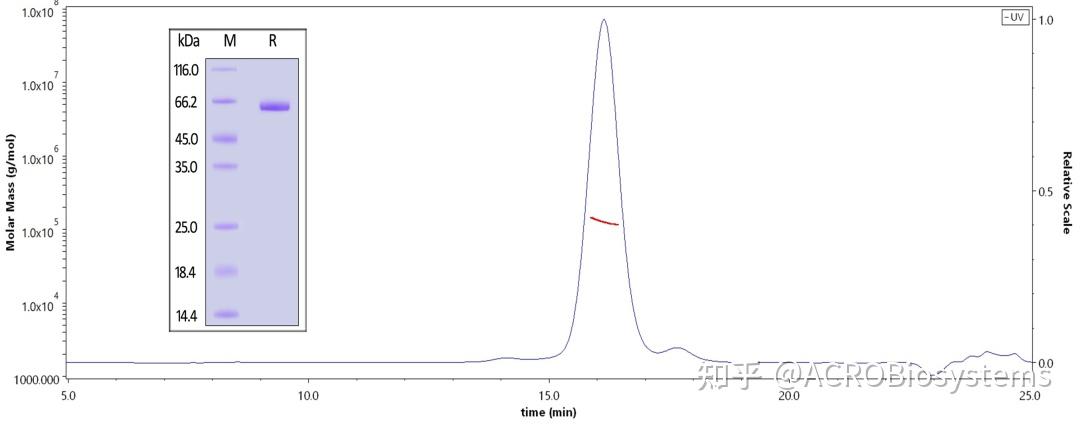 多种新型药物加持，ALPG或成为免疫治疗潜力靶点 - 知乎