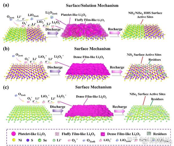 山东大学材料科学与工程学院王俊团队AEM：晶格匹配NiS2/NiSe2同源异质笼界面电子重分布协同调控Li2O2生成路径 - 知乎