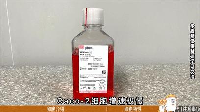 Caco-2细胞培养，人结直肠腺癌细胞培养攻略 - 丰晖生物 - 知乎