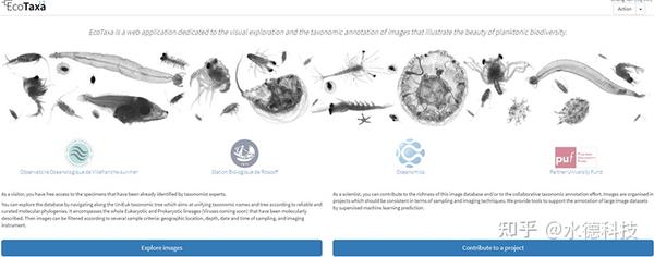 《Nature》综述：UVP6在海洋浮游动物监测和建模中的应用 - 知乎