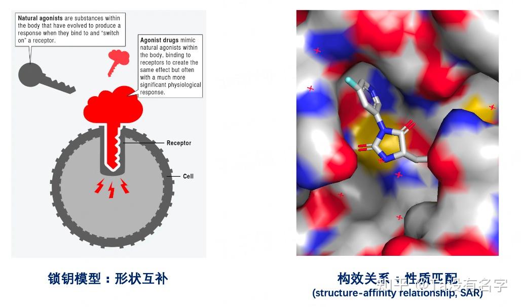 定量构效关系(QSAR)模型从0到1 & Uni-Mol入门实践（回归任务） - 知乎