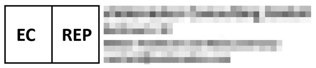 你的欧代靠谱吗？如何贴标？一文揭秘欧代的水到底多深！