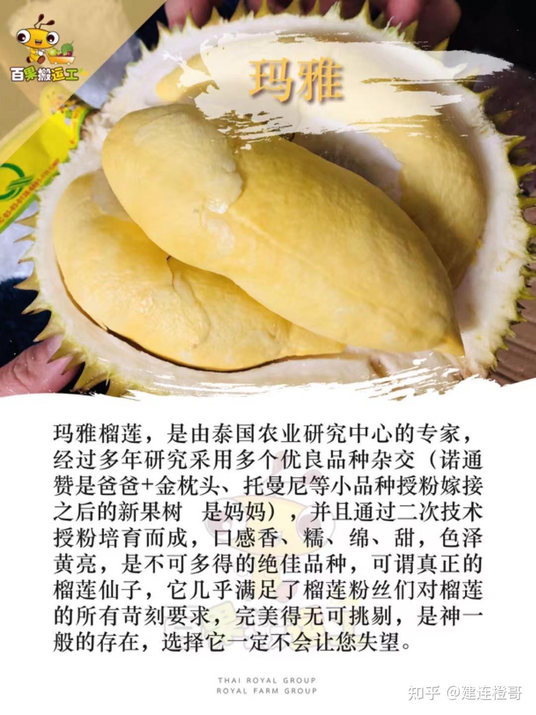 给大家介绍几款市面上很难买到的小众榴莲品种？ - 知乎