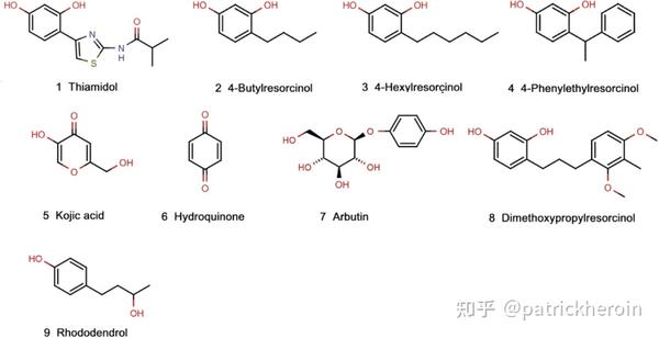 文献导读(五)抑制人源酪氨酸酶的分子结构显著区别于蘑菇属酪氨酸酶抑制剂 - 知乎