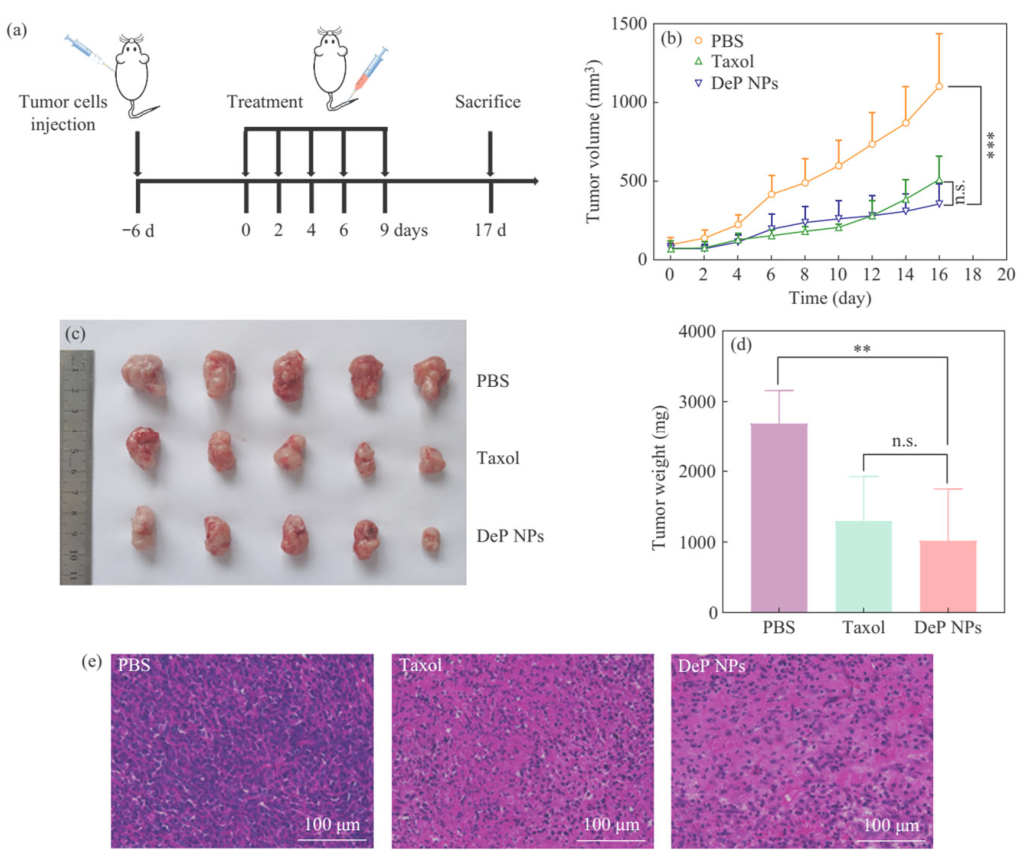 中科院长春应化所谢志刚团队研究论文：基于磷脂基紫杉醇纳米前药的抗肿瘤应用研究 - 知乎