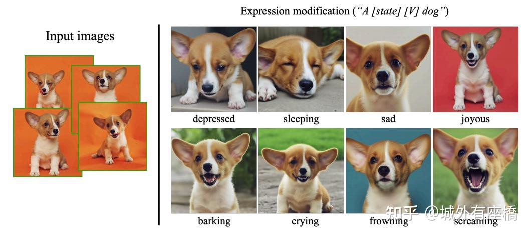 CVPR 2023 | Dreambooth：Fine Tuning Text-to-Image Diffusion Models for Subject-Driven Generation - 知乎