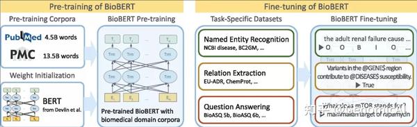 开源的生物医学知识图谱数据与BioBERT预训练参数 - 知乎