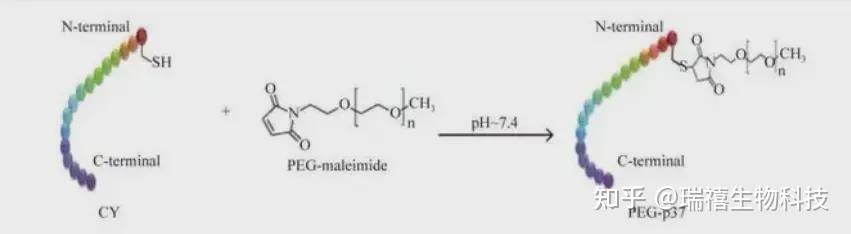 DSPE-PEG2000/PEG3400/PEG5000-MPP多肽 磷脂-聚乙二醇-MPP多肽 - 知乎