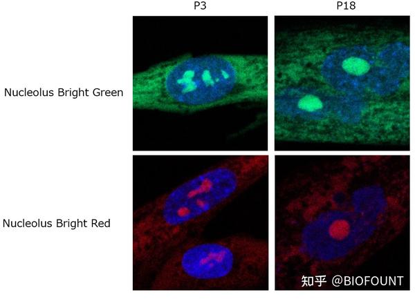 荧光PH值敏感探针 - 知乎
