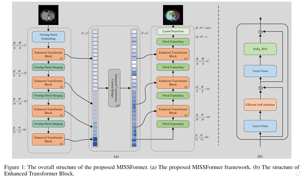 MISSFormer: An Effective Medical Image Segmentation Transformer - 知乎