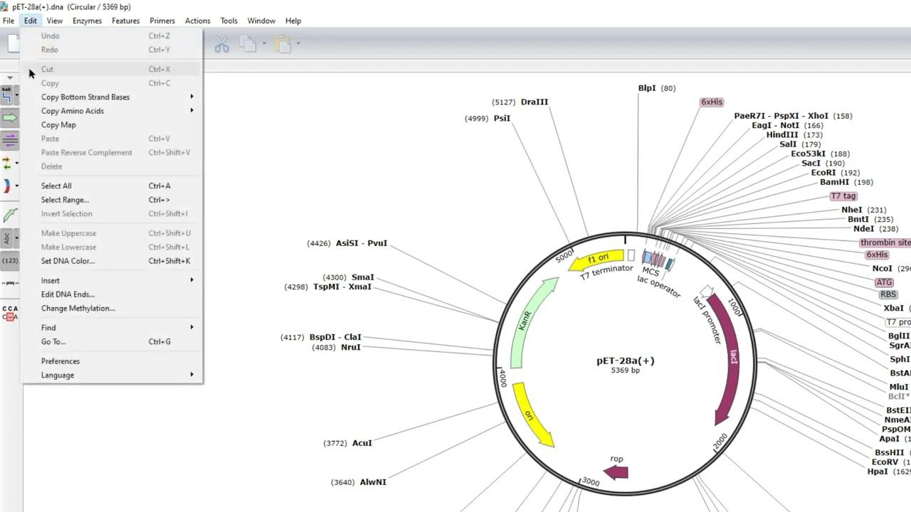 SnapGene 初学者指南 | SnapGene 软件概览 - 知乎