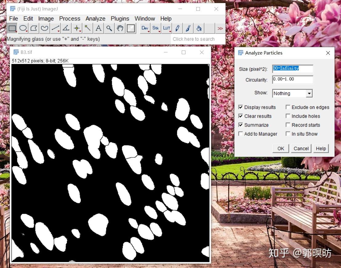ImageJ使用心得之Particle Analysis （二） - 知乎