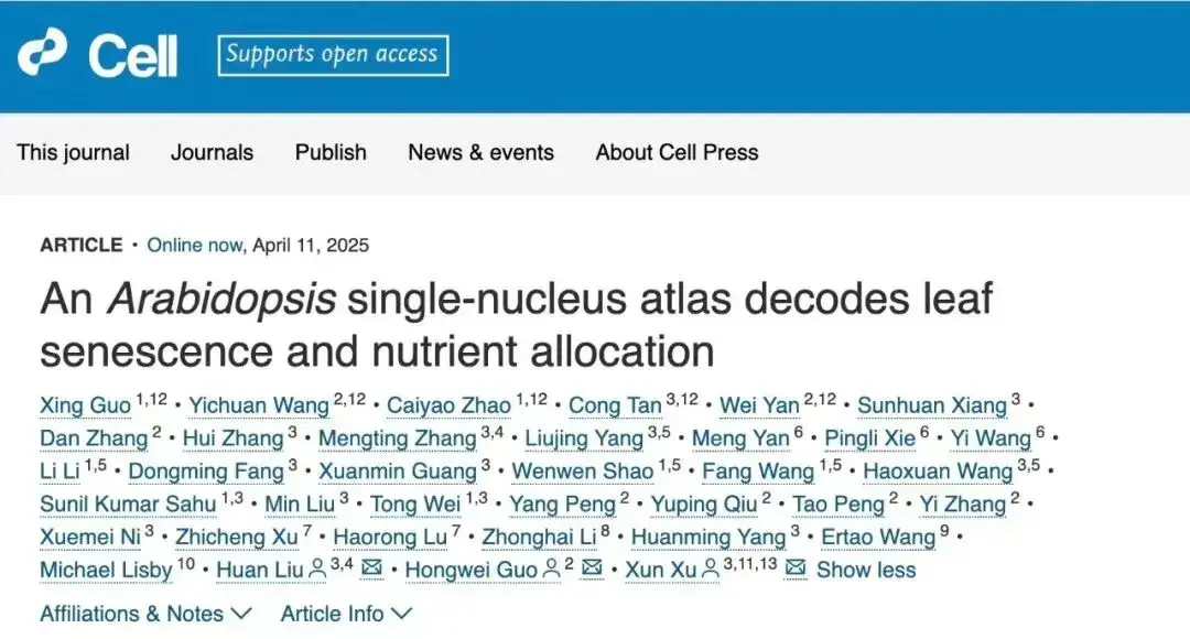 Cell | Stereo-seq助力绘制迄今最完整植物单细胞图谱，揭秘叶片衰老的“资源转移战” - 知乎