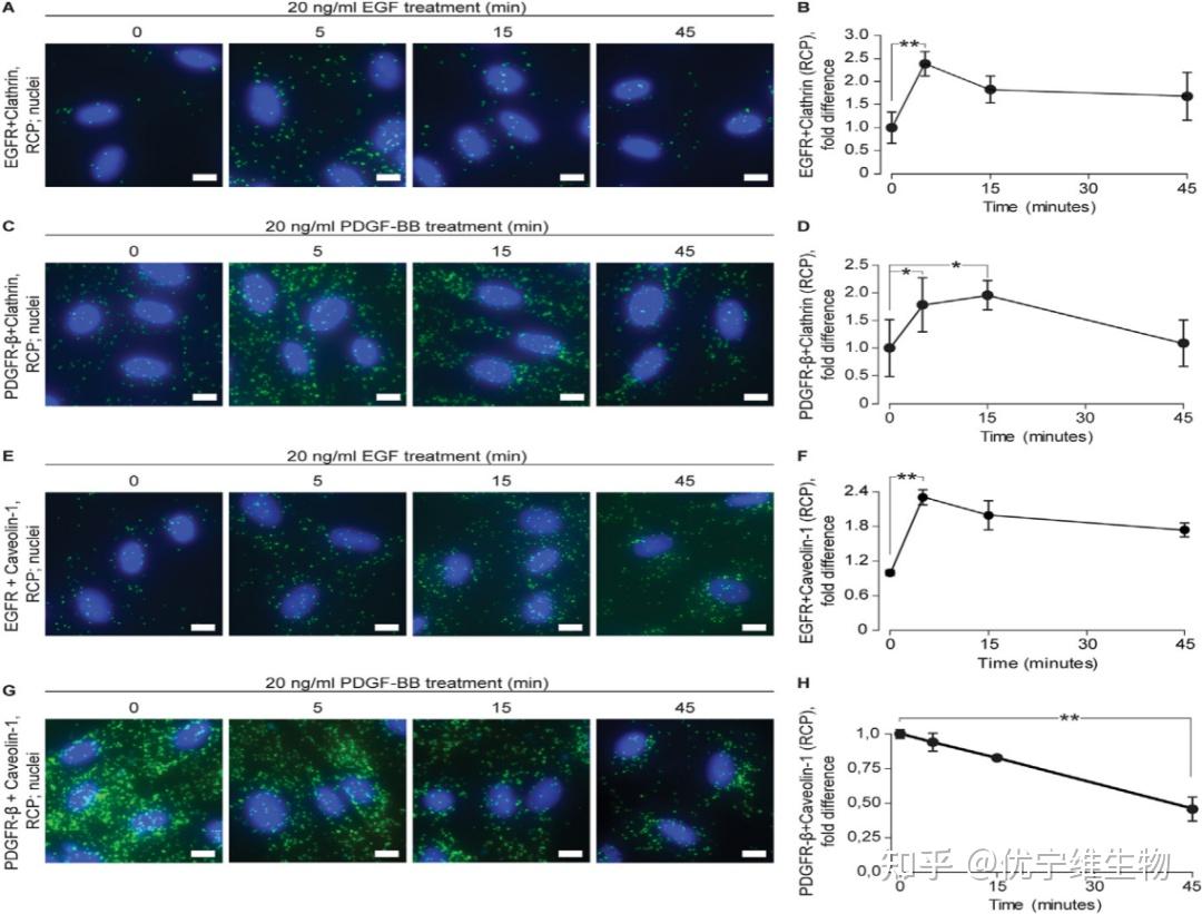科研干货！Naveni PLA技术&现有文献部分解析 - 知乎