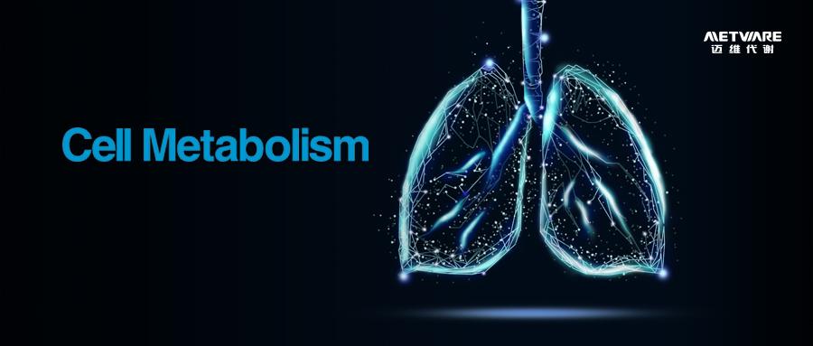 Cell Metabolism | 肺炎克雷伯菌诱导宿主代谢应激，促进对肺部感染的耐受性 - 知乎