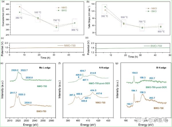 ACS Catalysis：B/N诱导表面调节高效OER - 知乎