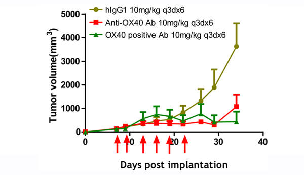 又一热门靶点（OX40）被详细解读 - 知乎