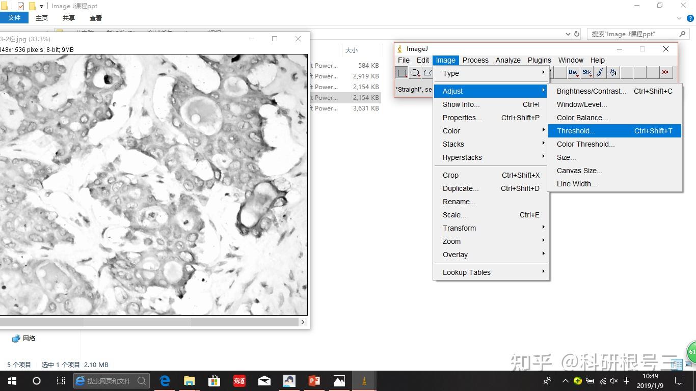 技能爆发！快速用Image J定量分析免疫组化图！ - 知乎
