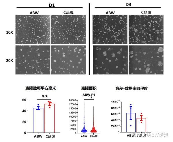 【测试报告】ABW vs C品牌基质胶：扩展型多能干细胞（EPSC）培养及分化 - 知乎