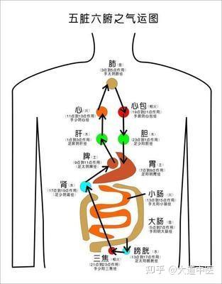 中医的气到底是什么？从何而来？ - 知乎
