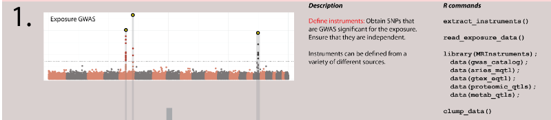 R语言实操：使用TwoSampleMR包进行孟德尔随机化分析 - 知乎