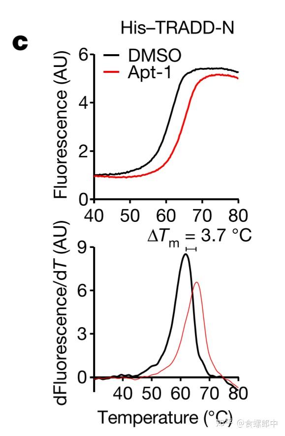 第1天|实验技术|Thermal shift assay - 知乎
